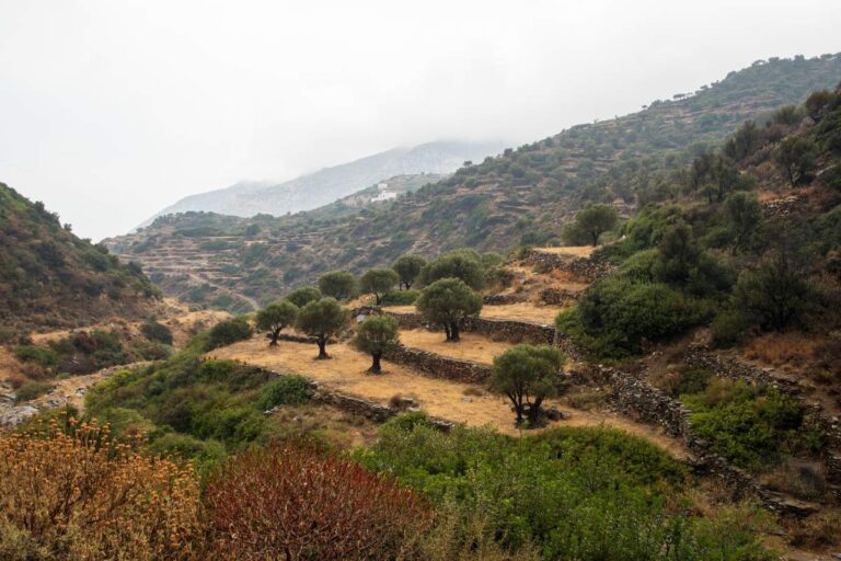 Οδηγός Σίφνος: Όλα όσα πρέπει να ξέρεις για το νησί & όλοι οι λόγοι που ...