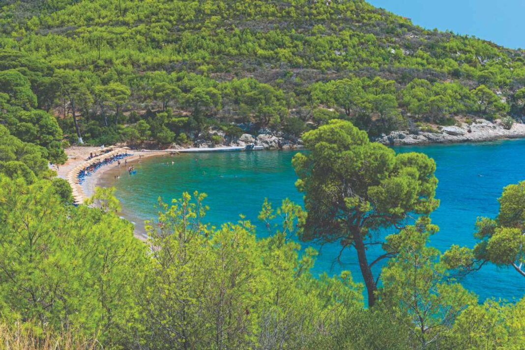 Σπέτσες: Αυτή είναι η πιο όμορφη παραλία του νησιού που τα πεύκα ...