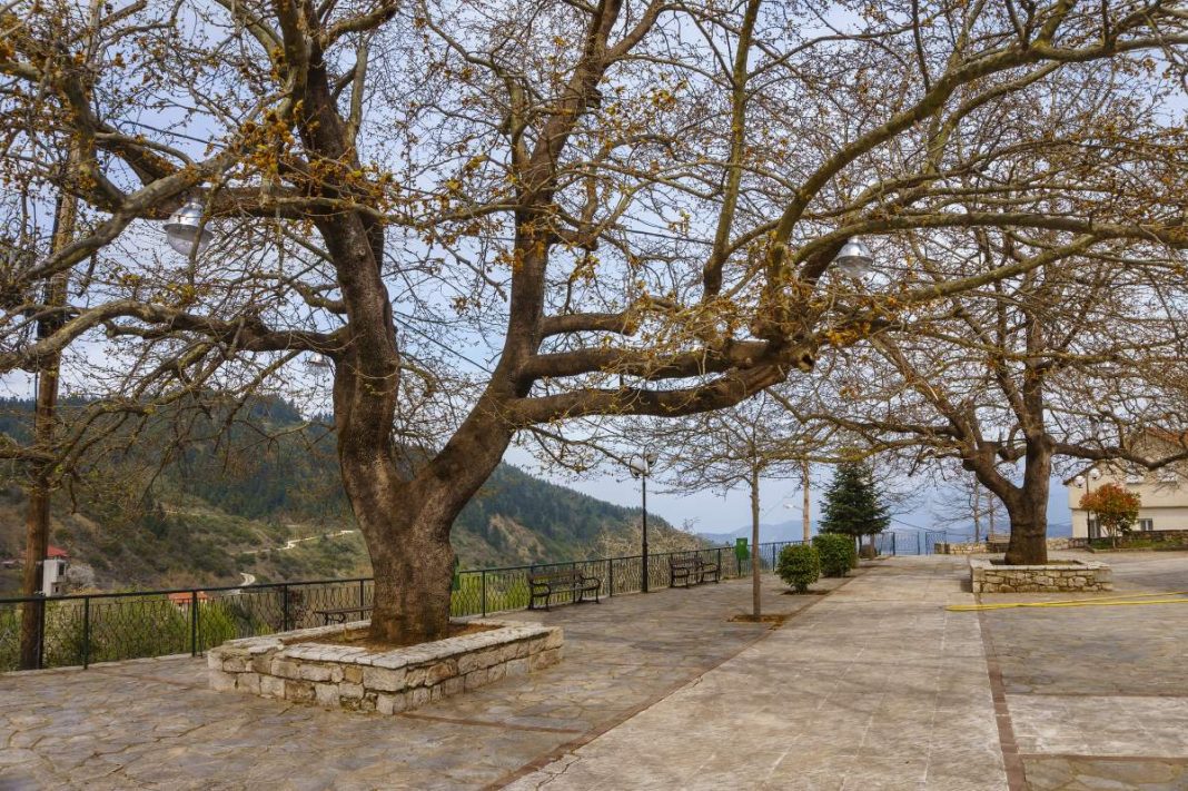 Παύλιανη: Το χωριό της Φθιώτιδας στις πλαγιές της Οίτης με την ...