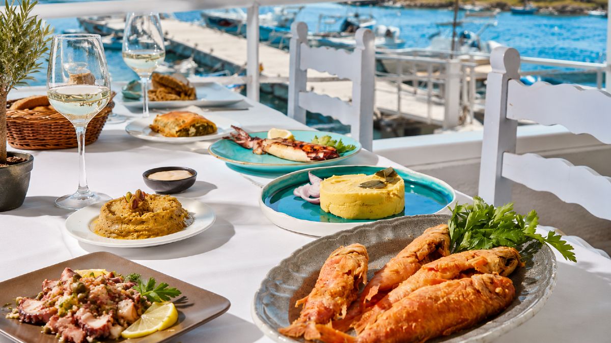Nontas Fish Restaurant: Ένα ταξίδι στις γεύσεις του Αργοσαρωνικού με ...